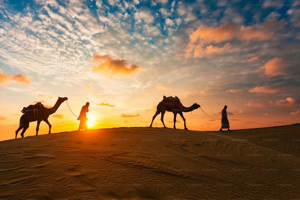 Dubai Desert Safari: A Thrilling Adventure Through Time, Culture, and Sands